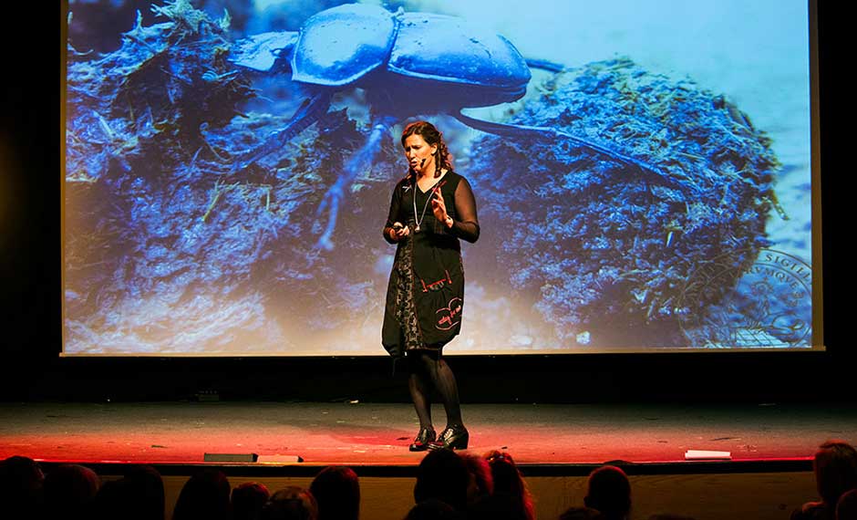"Med orden ska du måla en berättelse!" - Forskar Grand Prix